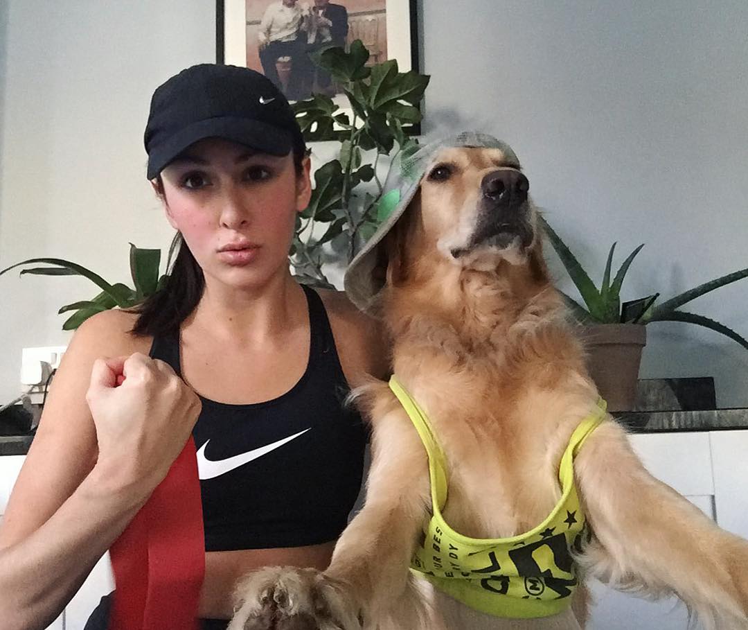 Photographer Takes Hilarious Photos Of Her Dog Doing Human Things, And ...